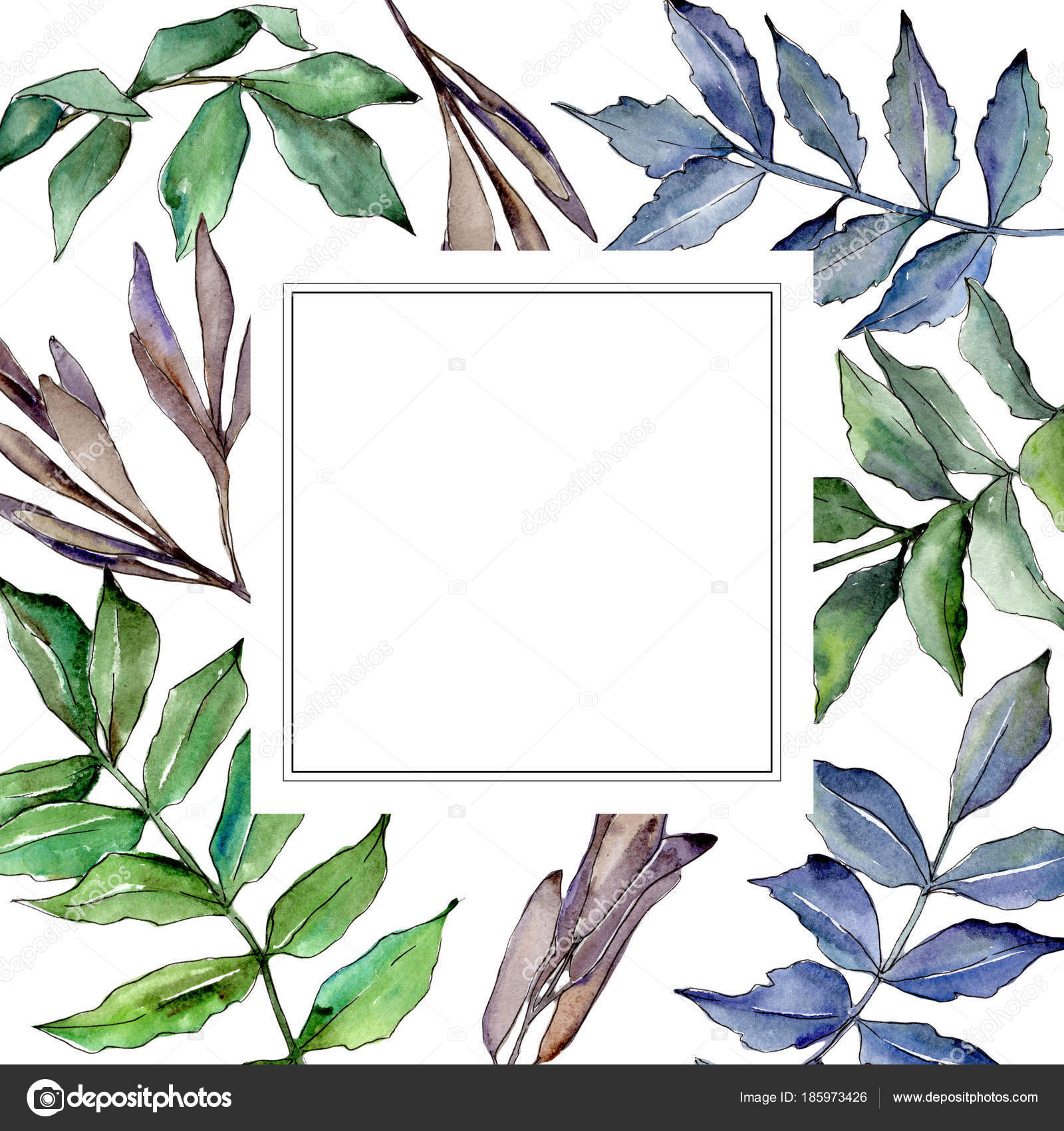 Ash leaves frame in a watercolor style. Stock Photo by ©MyStocks 185973426