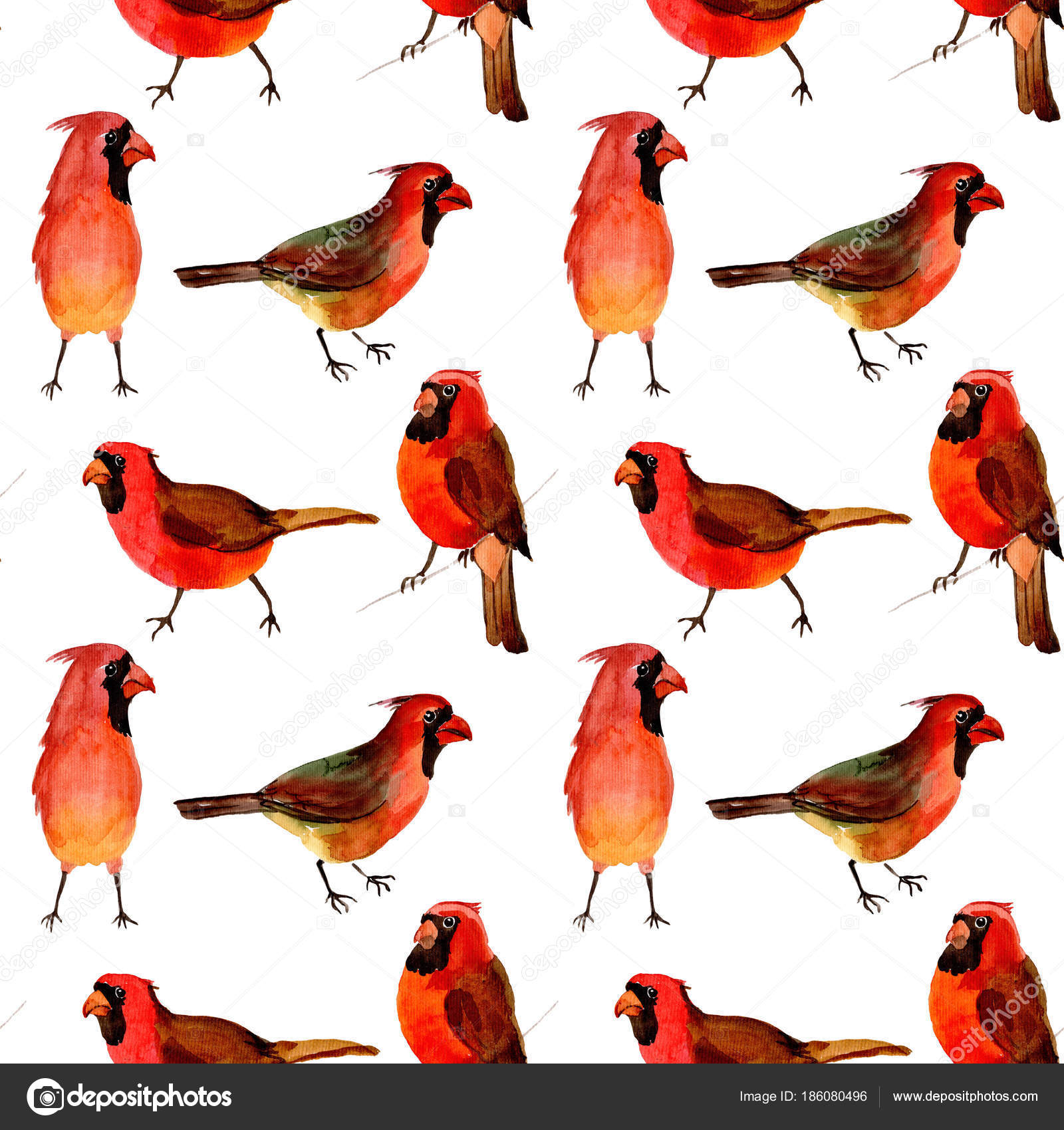 Sky bird red cardinal pattern in a wildlife by watercolor style. Stock ...
