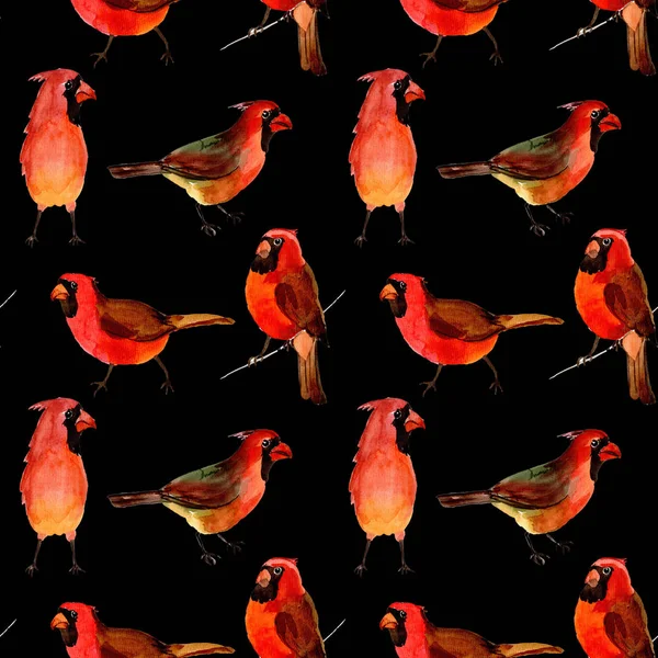 Sky bird red cardinal pattern in a wildlife by watercolor style. Stock ...