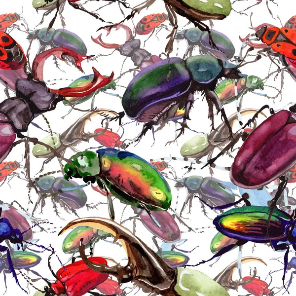 Exotic beetles wild insect pattern in a watercolor style. Stock Photo ...