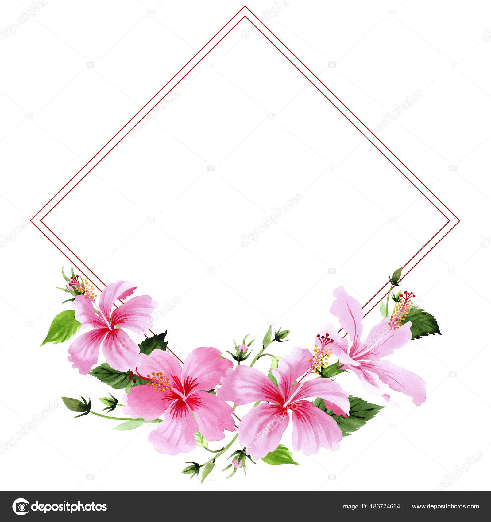Wildflower hibiscus pink flower frame in a watercolor style. Stock ...