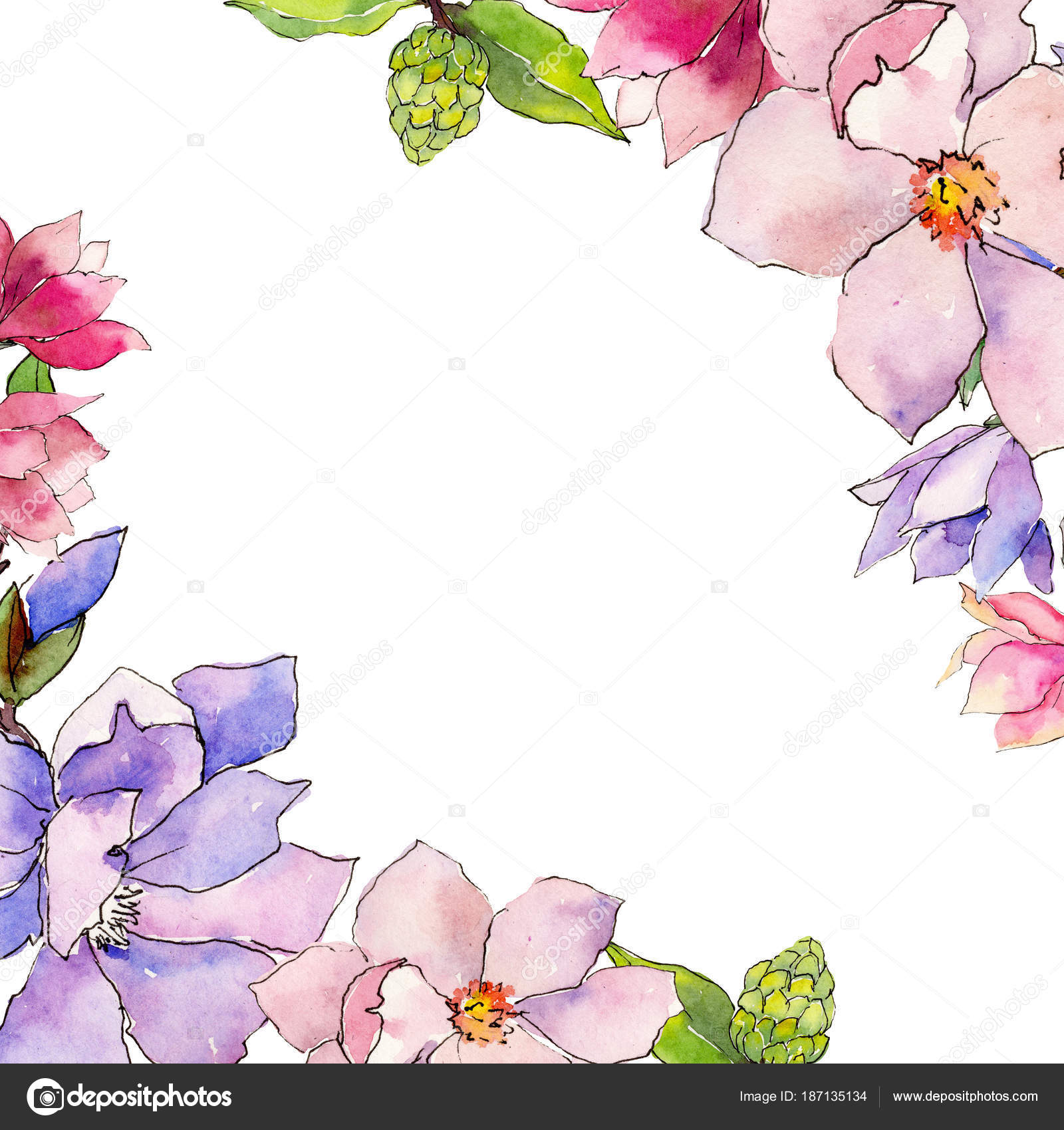 Wildflower magnolia flower frame in a watercolor style. Stock Photo by ...