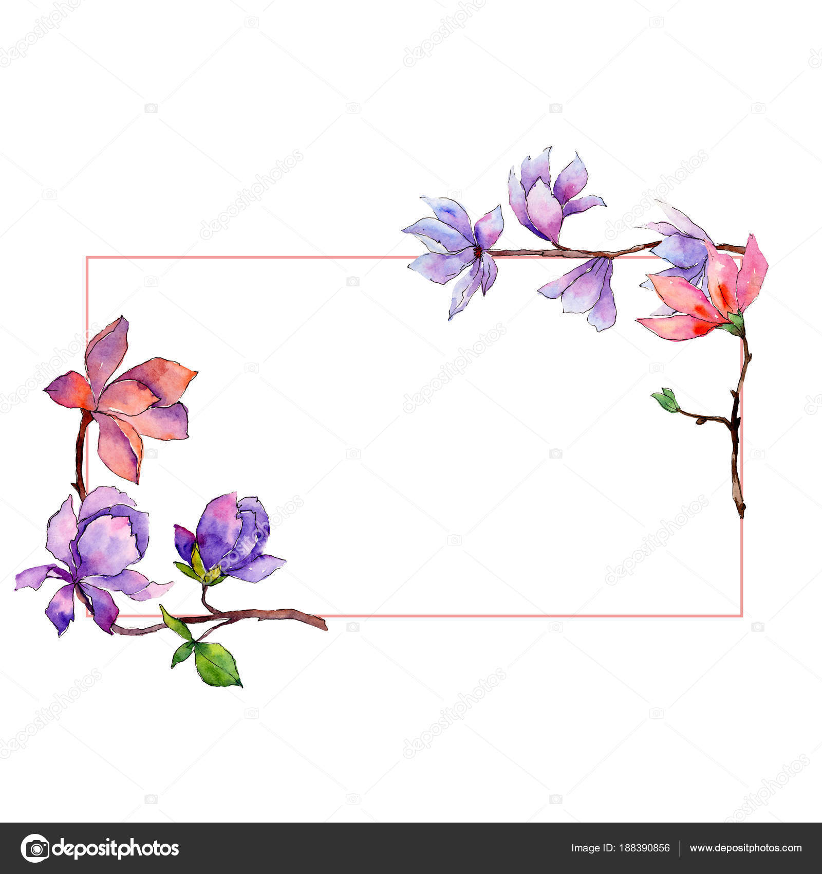 Wildflower magnolia flower frame in a watercolor style. Stock Photo by ...