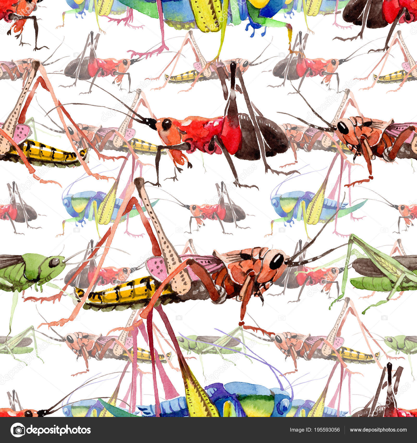 Exotic crickets wild insect in a watercolor style pattern. Stock Photo ...