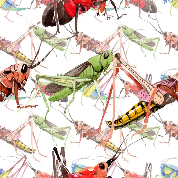 Exotic crickets wild insect in a watercolor style pattern. Stock Photo ...