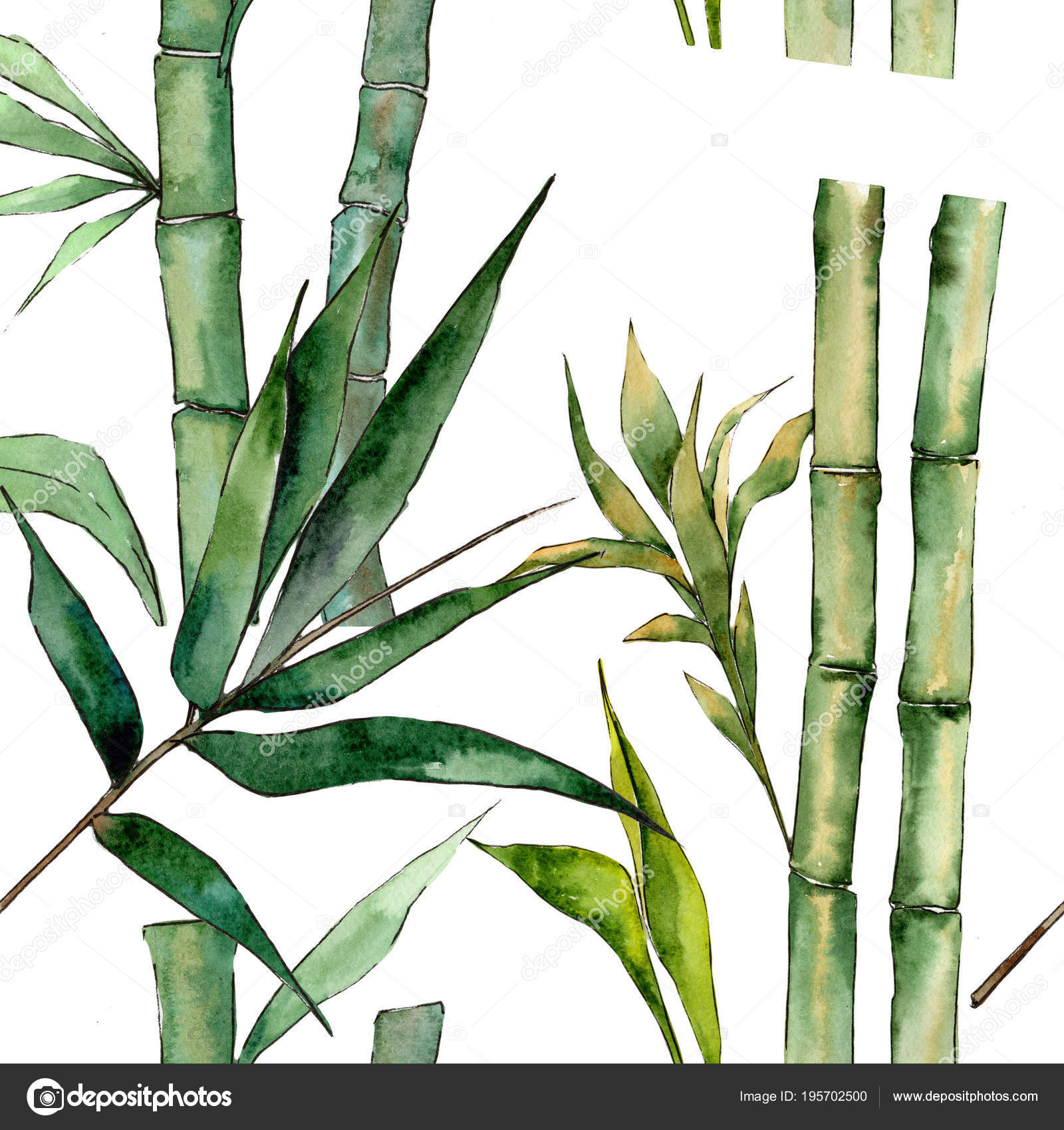 Bamboo tree pattern in a watercolor style. Stock Photo by ©MyStocks ...