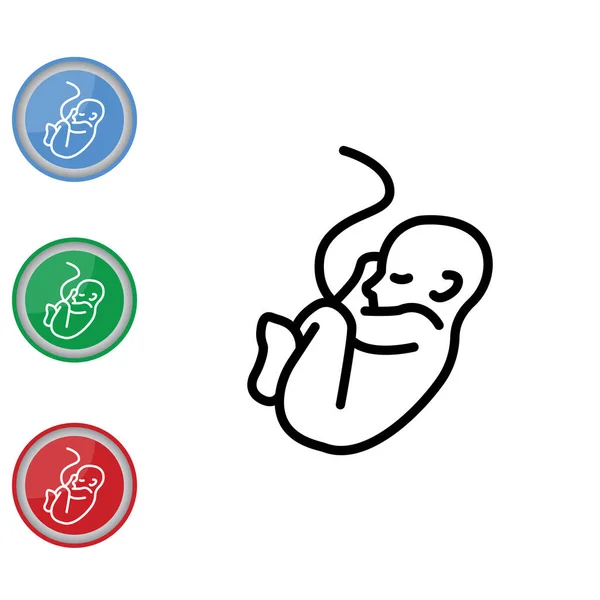 Embryo icon Vector Images | Depositphotos