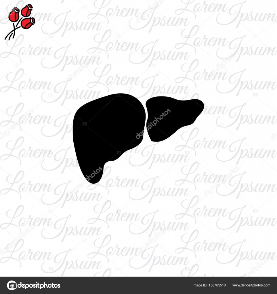 Liver simple icon Stock Vector Image by ©PPVector #158765510