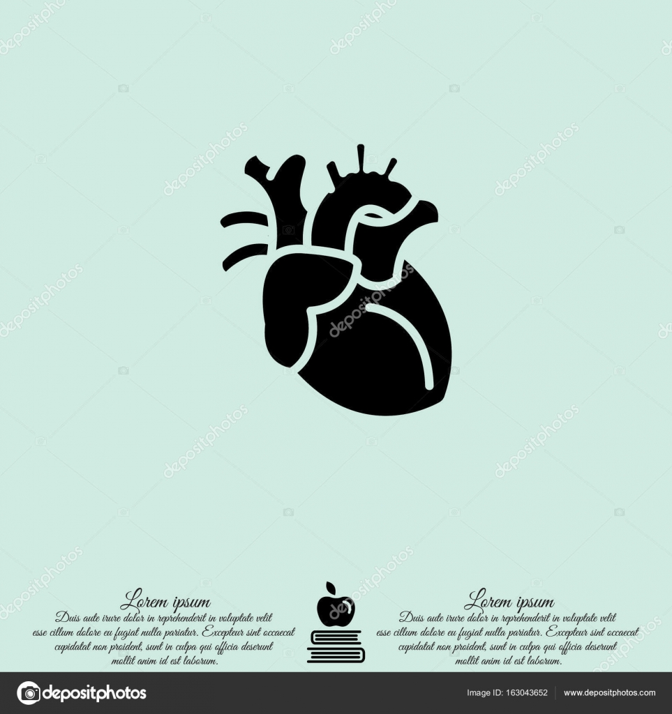 Human heart flat icon Stock Vector by ©PPVector 163043652