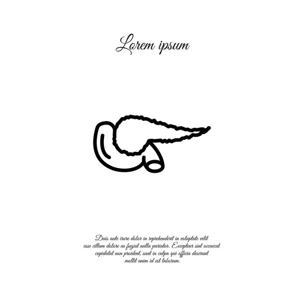 Human Pancreas Images - Search Images on Everypixel