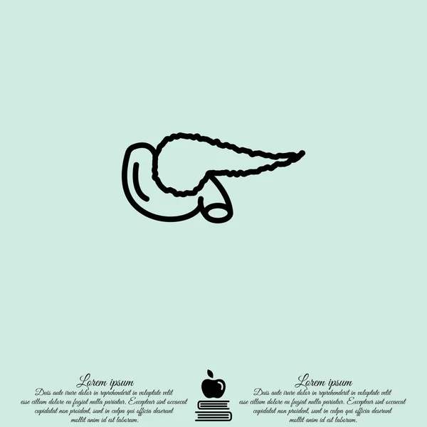 Human Pancreas Images - Search Images on Everypixel