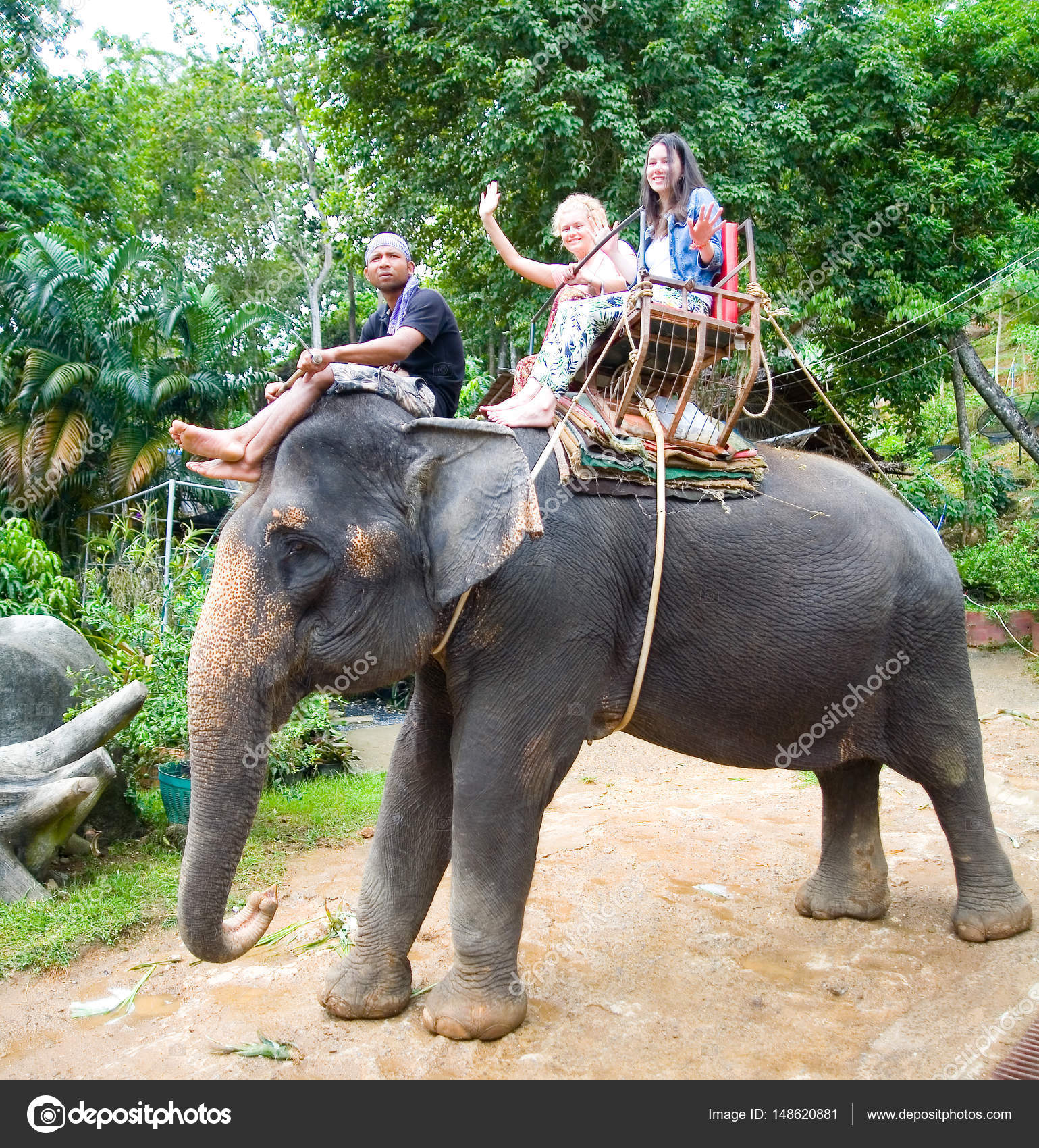 Ride on an Indian elephant. – Stock Editorial Photo © 75Alex75 #148620881