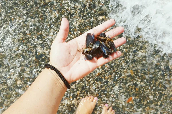 Sanibel beach Stock Photos, Royalty Free Sanibel beach Images ...