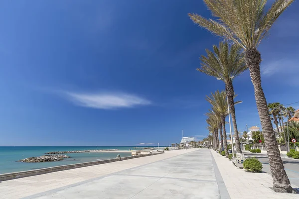 Festivos elche 2024 Stock Photos, Royalty Free Festivos elche 2024 ...