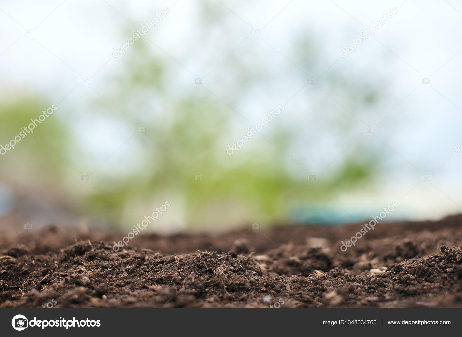 Spring Natural Soil Background Planting Plants Beautiful Bokeh ...