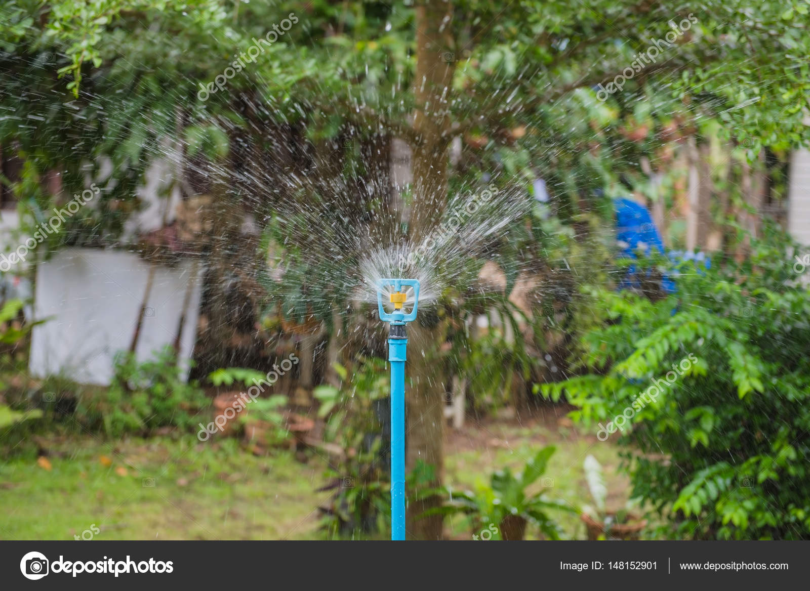 Water springer in the garden of agriculture. — Stock Photo © oatautta ...