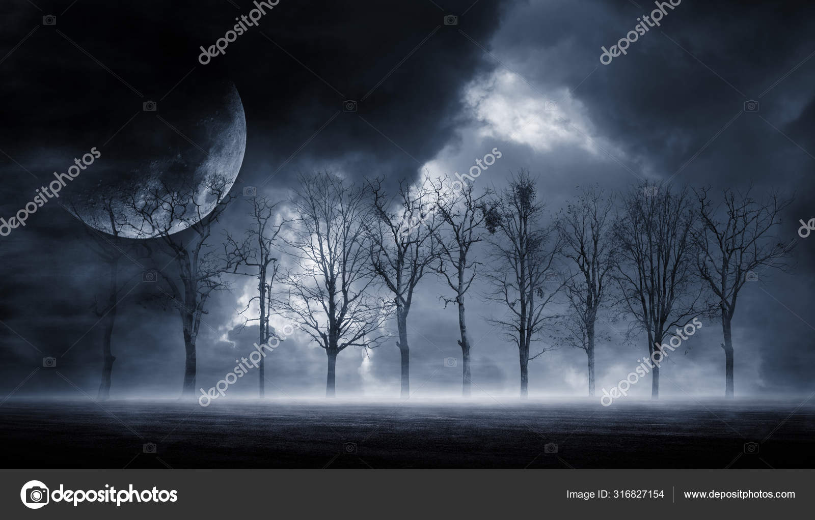 Dark Forest 3d Abstract Night In Darkness Forest 3D And CG