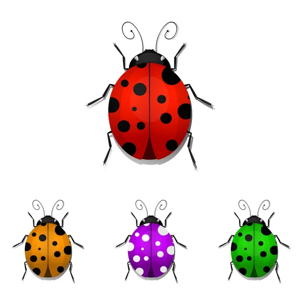 Images: different colored ladybugs | Ladybugs in Different Colors ...