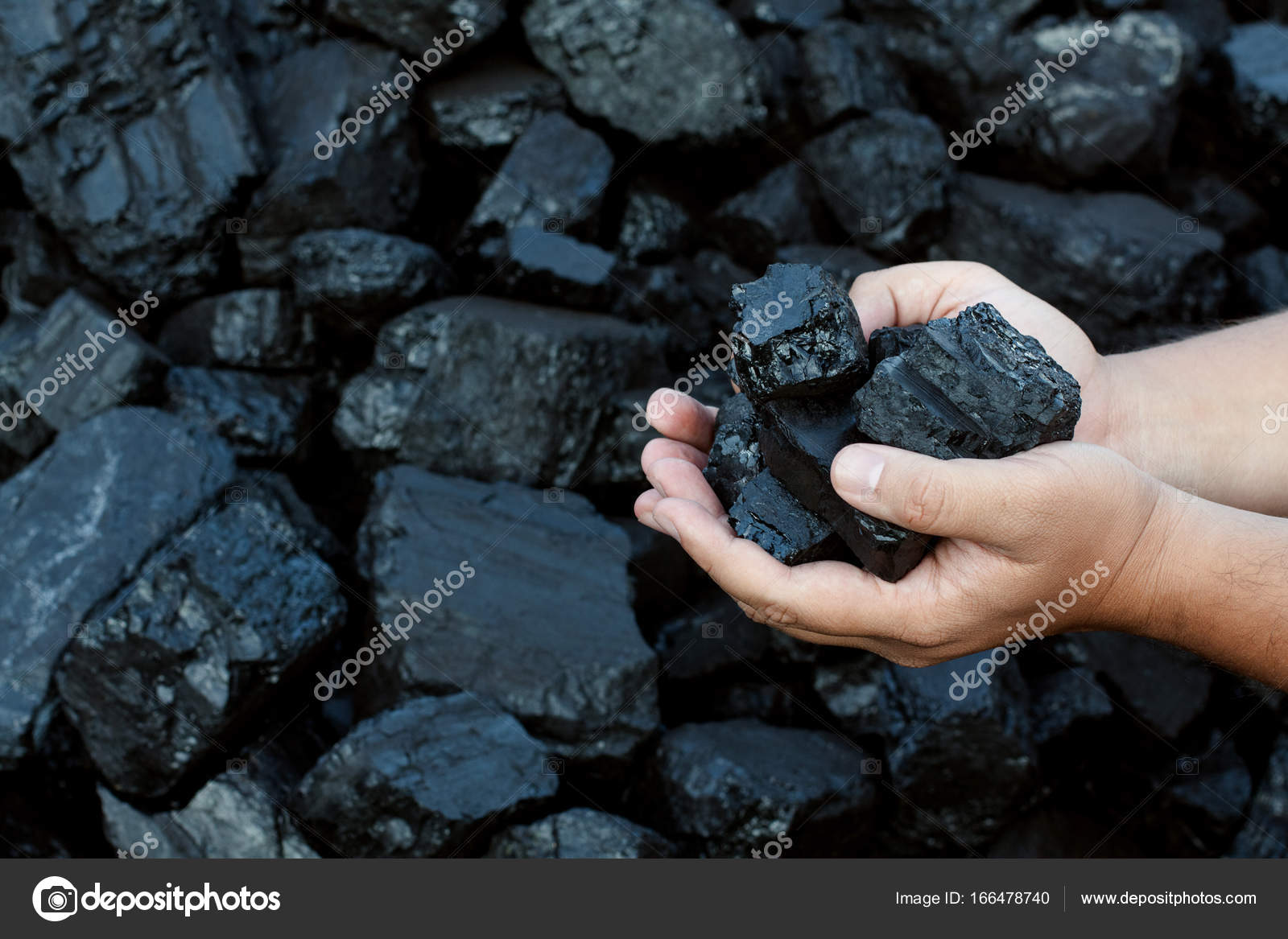 Coal mining hands holding sunlit coal stone part — Stock Photo ...