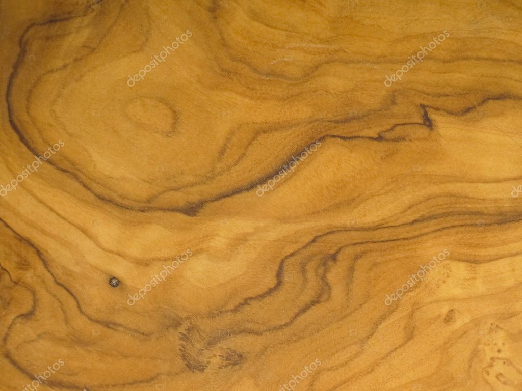 Olive tree texture Stock Photo by ©photohampster 125859330