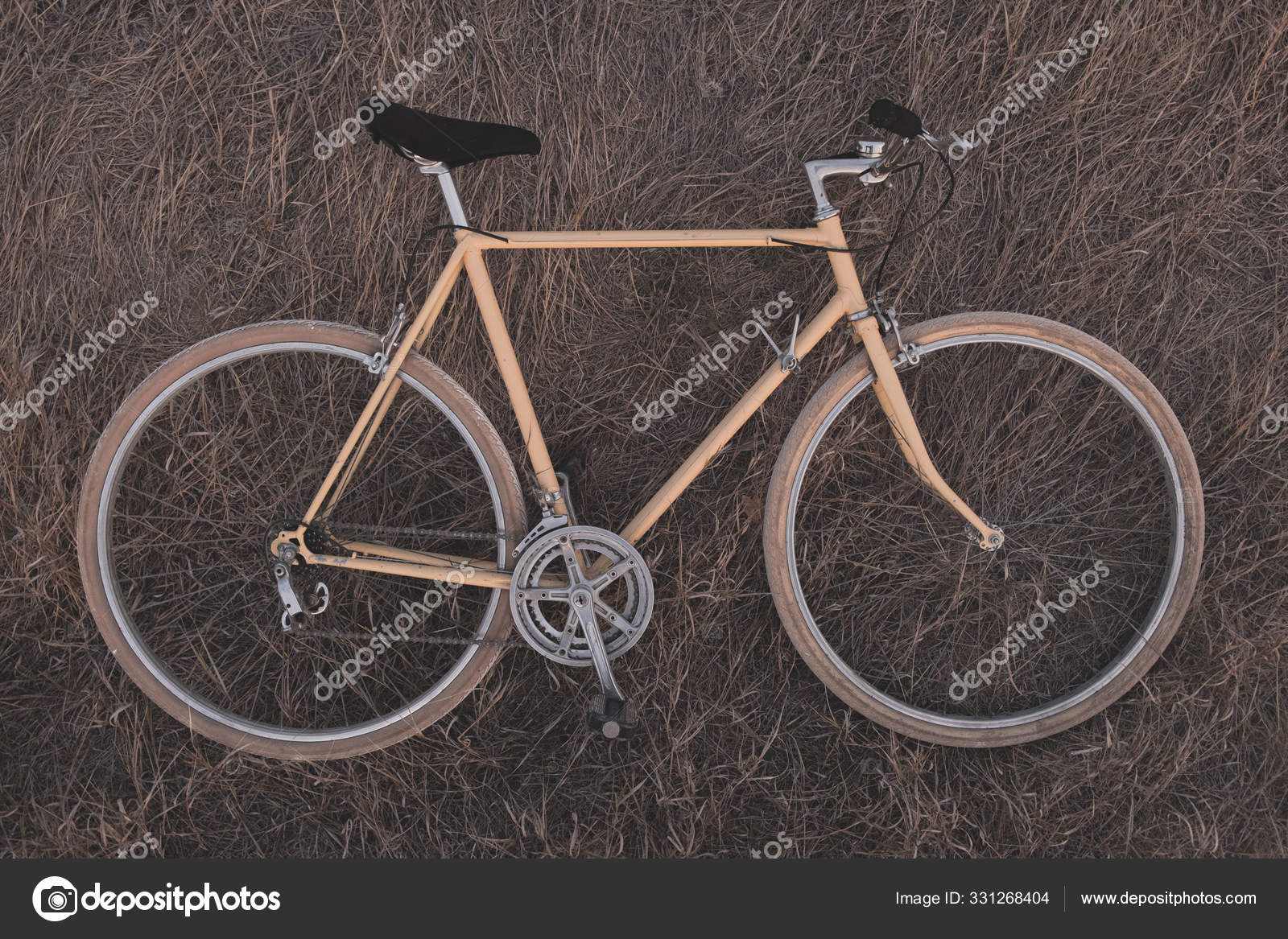 Top View Vintage Bicycle Faded Grass Retro Bike Aesthetics Old — Stock ...