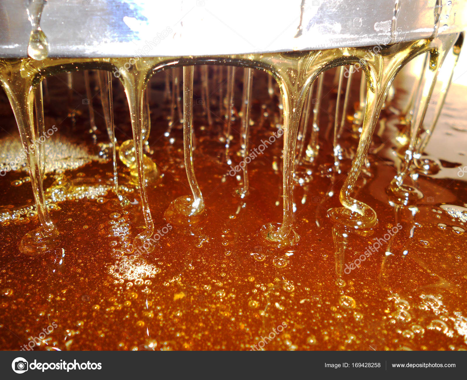 Photo Shows Beehive Honey Nectar Hive Swarm Winged Bee Honeycomb Stock ...