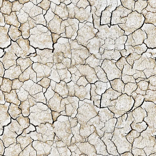 Cracked Desert Seamless Texture