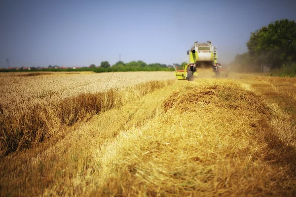 combine moving field - Stock Image - Everypixel