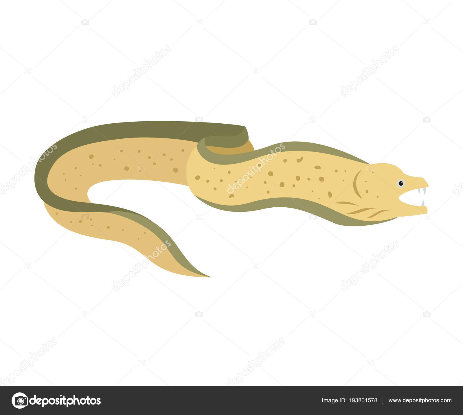 Moray eel on white background. Stock Vector Image by ©oldmillionka ...