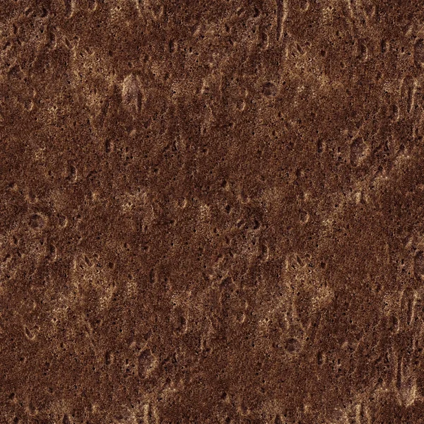 Seamless Cookie Texture