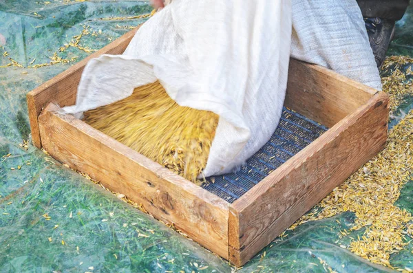 Sifting grain background Stock Photo by ©V_Sot 156323076