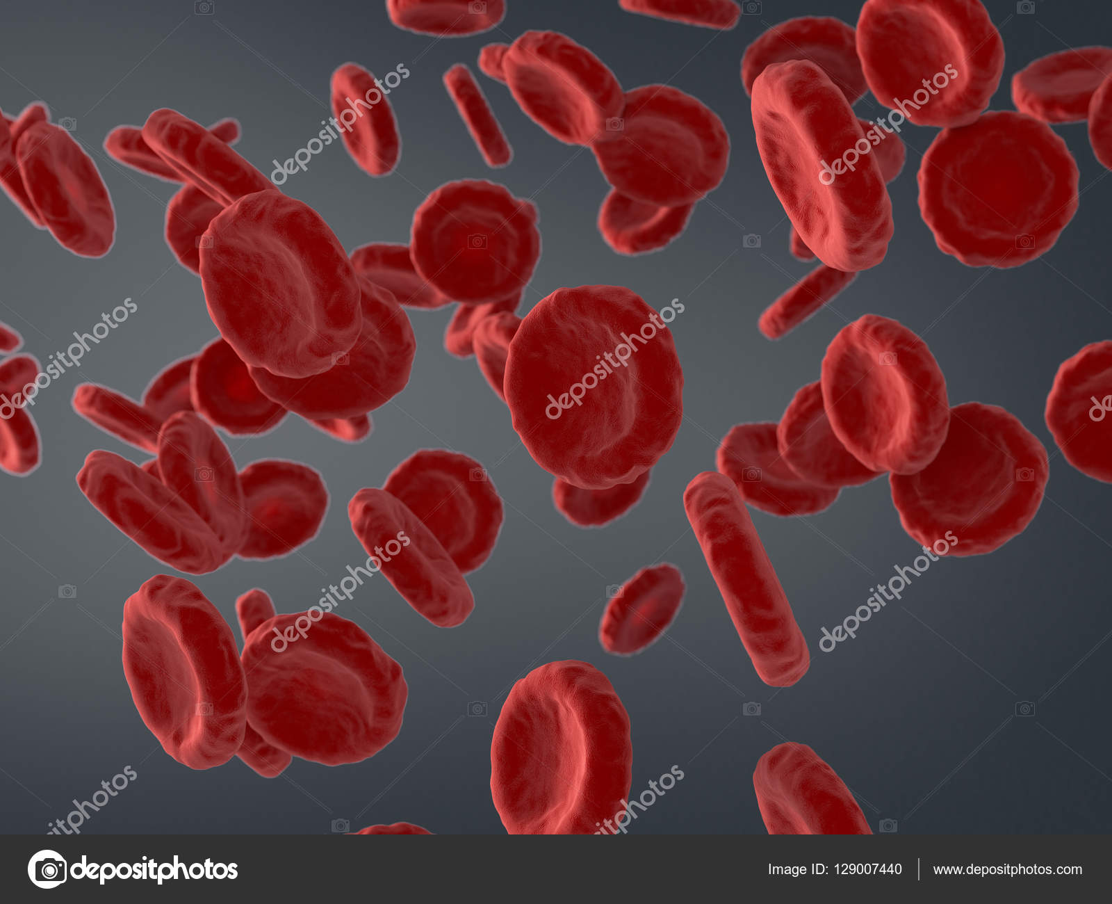 Blood Cells render Stock Photo by ©AnatomyInsider 129007440