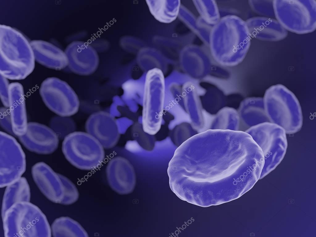 Blood Cells render — Stock Photo © AnatomyInsider #129008674