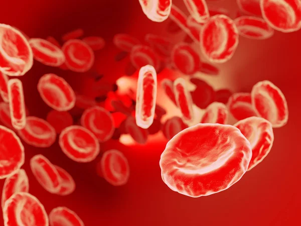 Blood Cells render Stock Photo by ©AnatomyInsider 129007440
