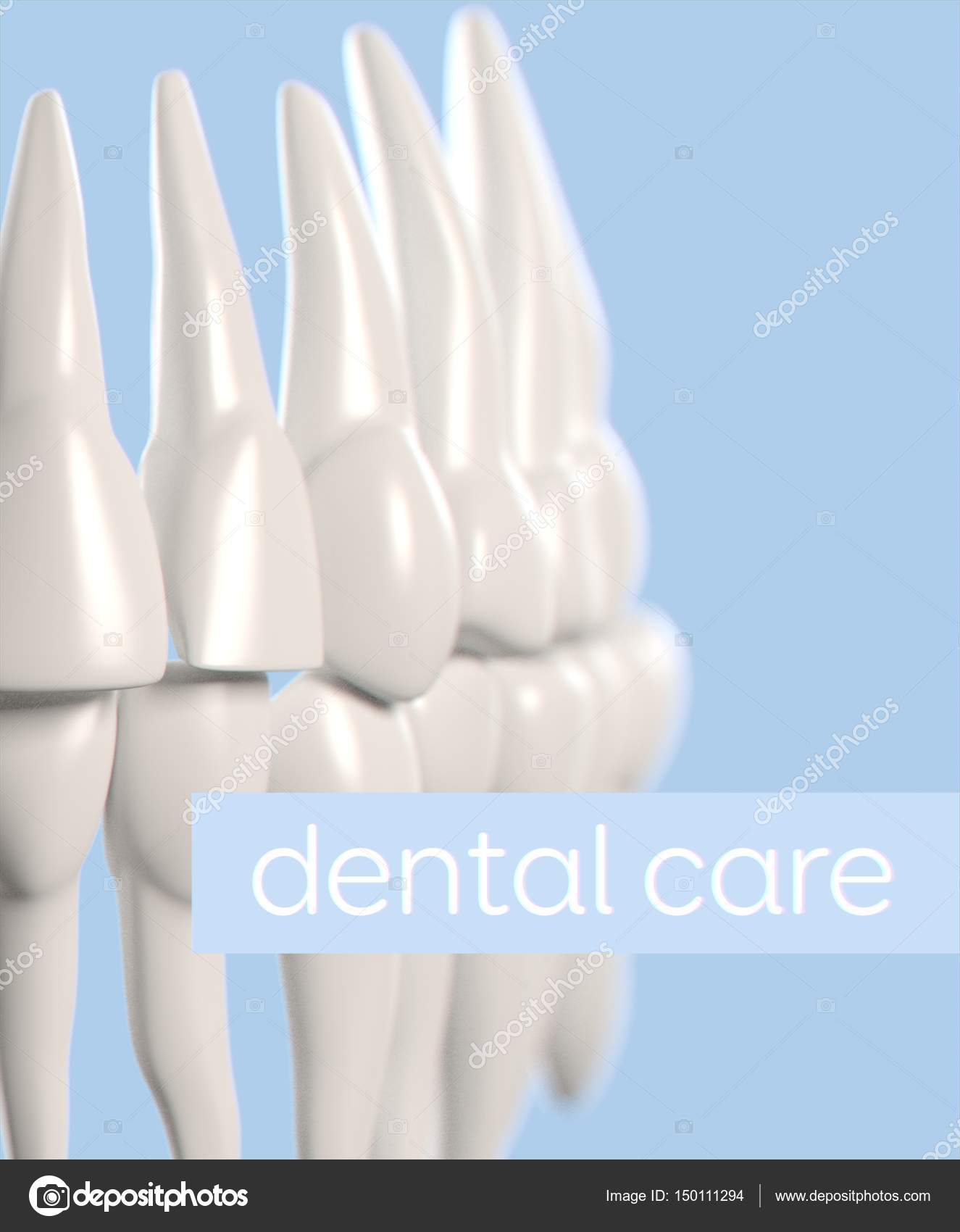 Human teeth anatomy model Stock Photo by ©AnatomyInsider 150111294