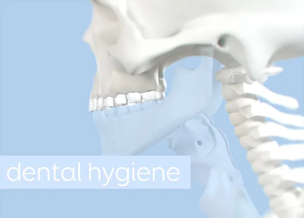 Tmj Temporomandibular Joints Healthy Occlusion Anatomy Medically ...