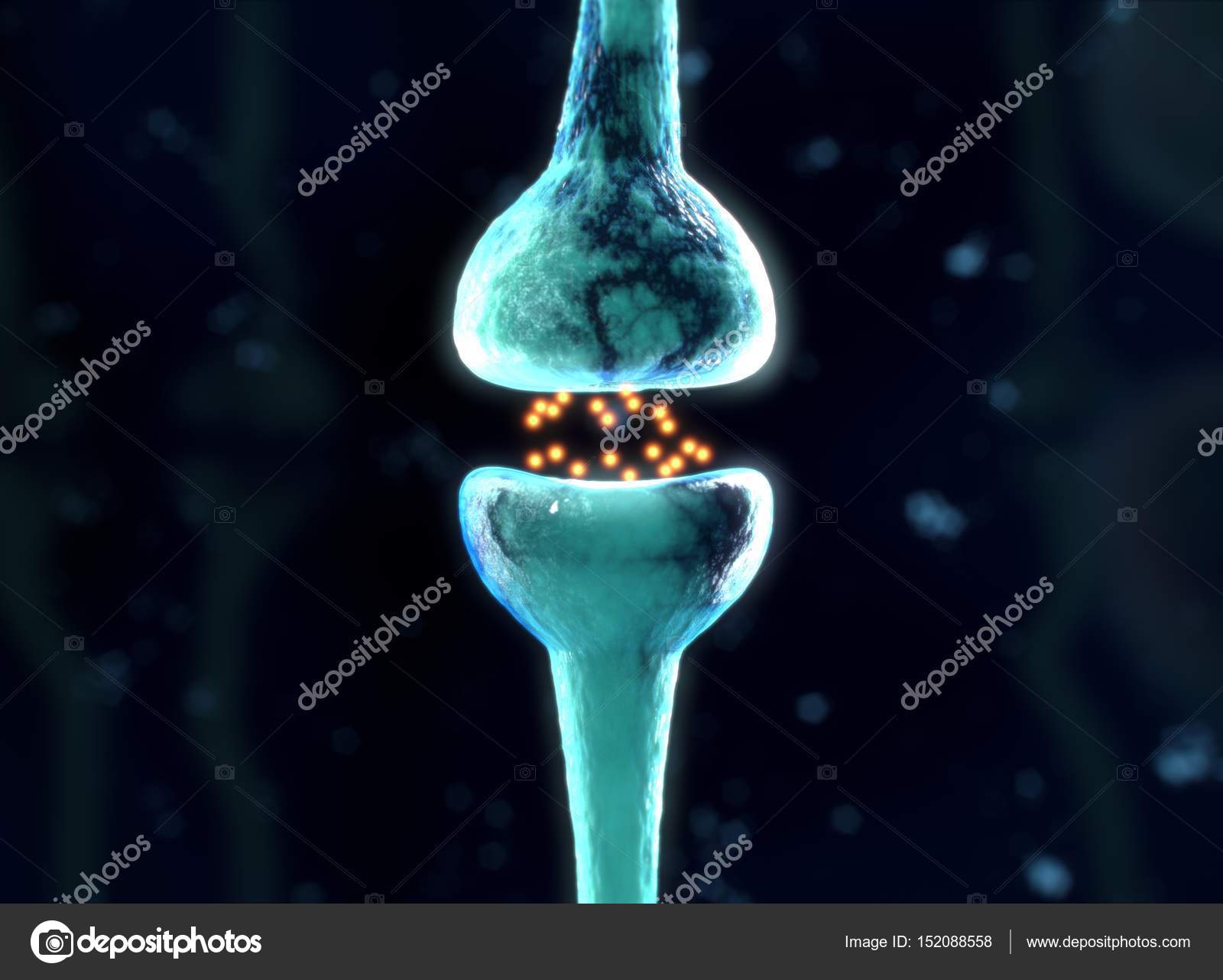 Neuron cells sending electrical signals Stock Photo by ©AnatomyInsider ...