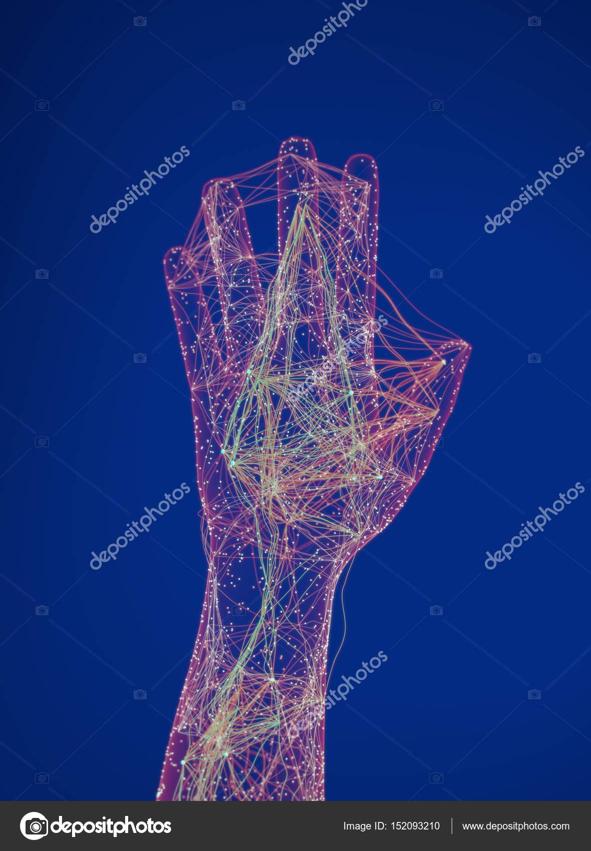 Human body neurology, nervous system — Stock Photo © AnatomyInsider ...