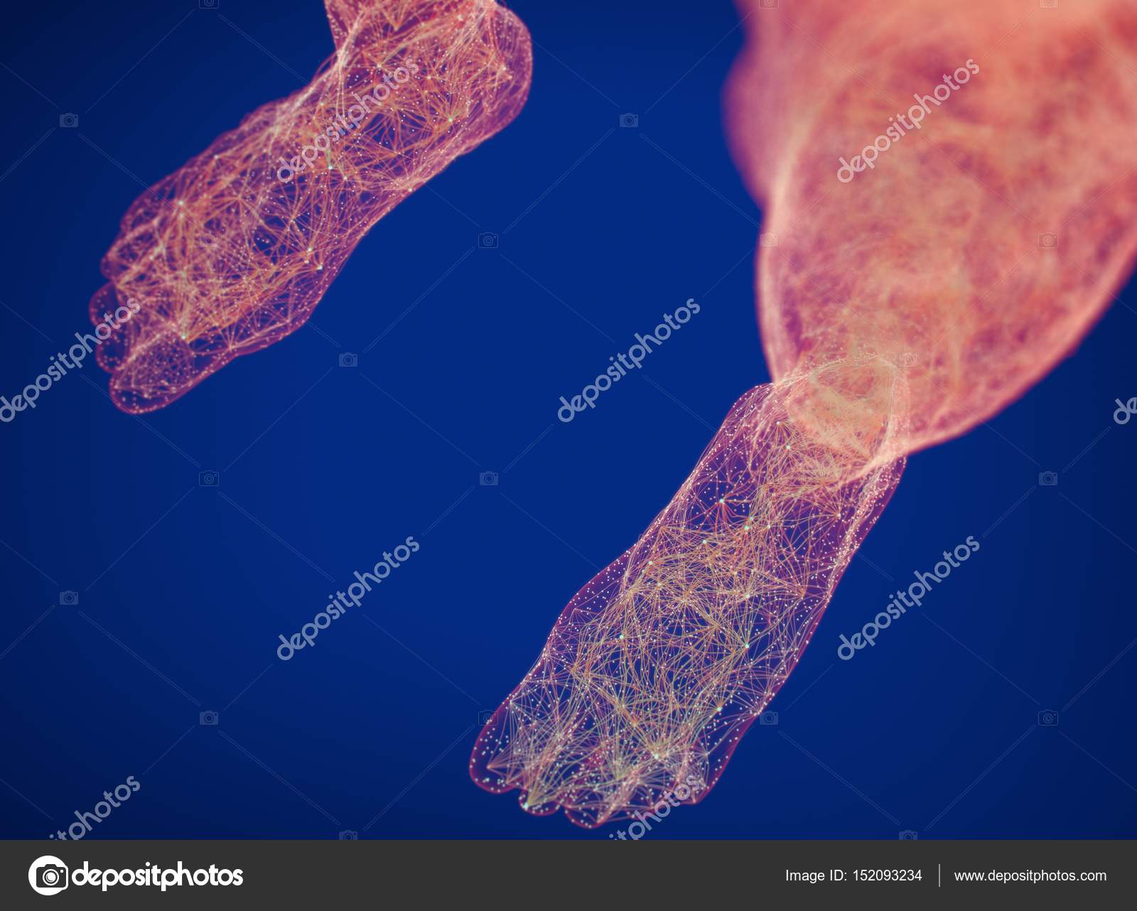 Human body neurology, nervous system — Stock Photo © AnatomyInsider ...