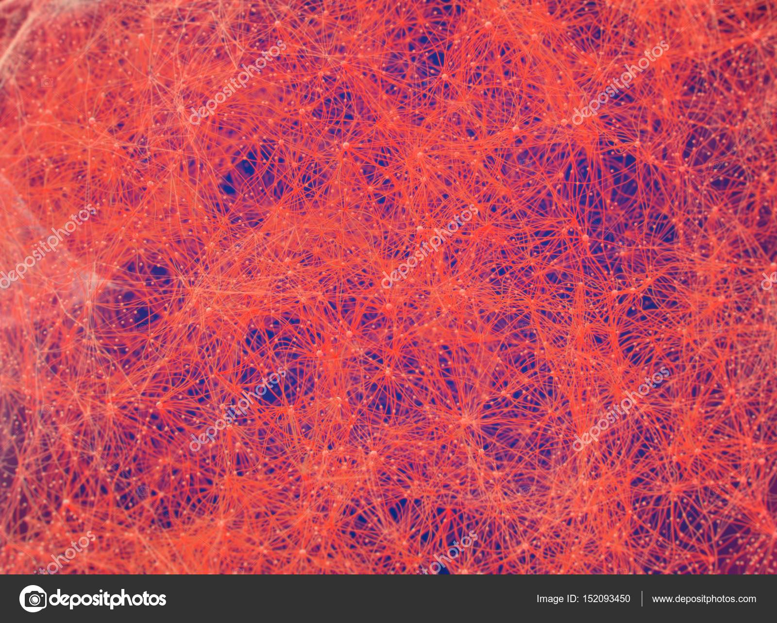 Human body neurology, nervous system — Stock Photo © AnatomyInsider ...