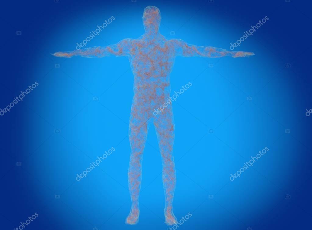 Human body neurology, nervous system — Stock Photo © AnatomyInsider ...