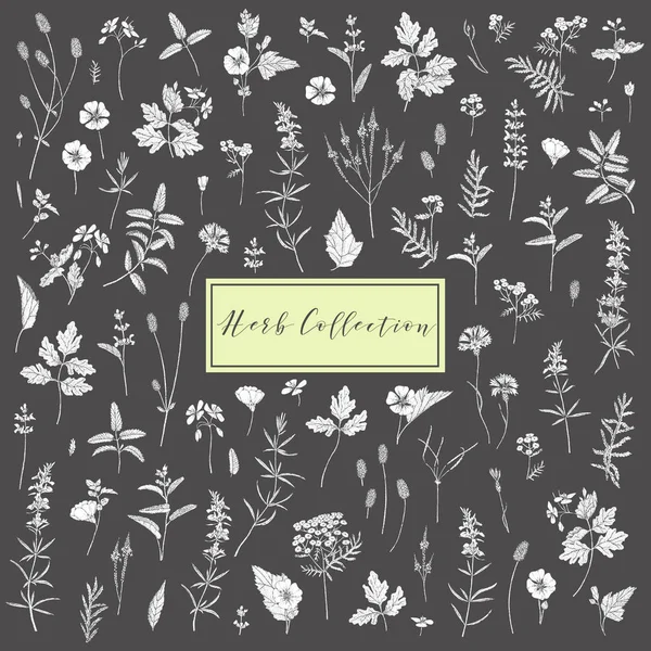 Curative therapy Vector Art Stock Images | Depositphotos