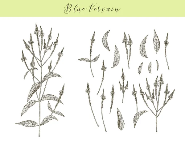 Curative therapy Vector Art Stock Images | Depositphotos