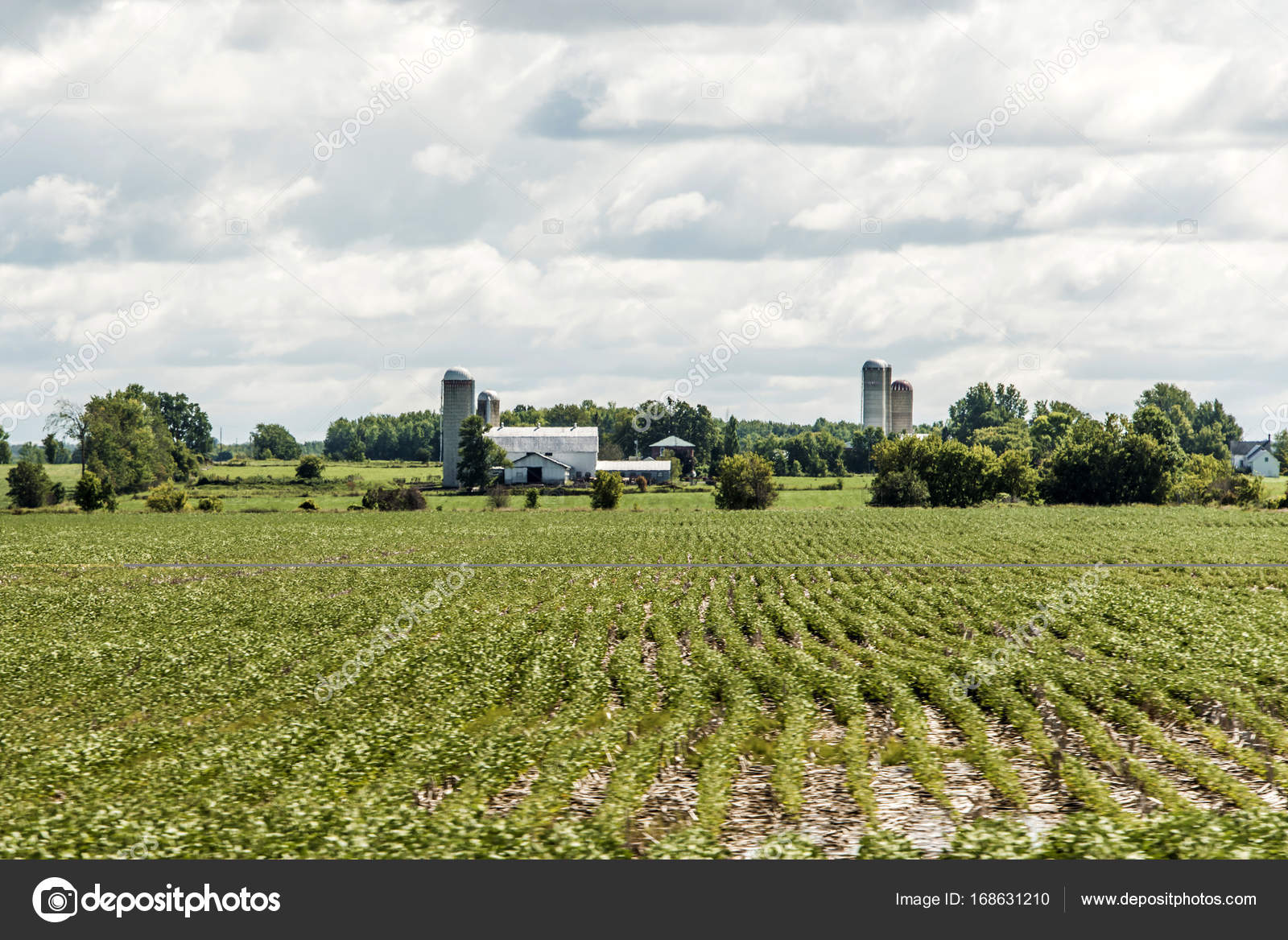 Rural Ontario Farm with Barn Silo storage agriculture animals Canada ...