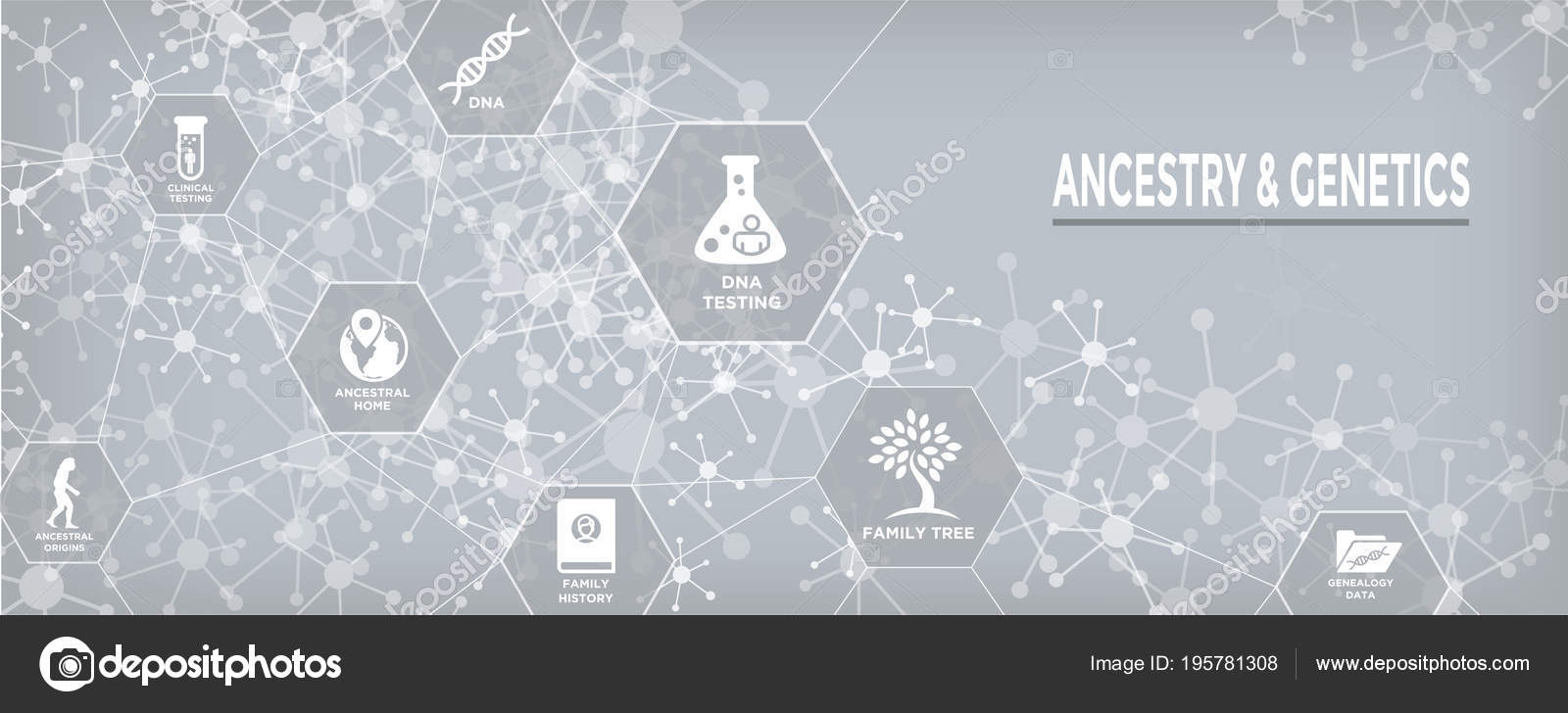 Ancestry Genealogy Icon Set Web Banner Family Tree Album Family Stock ...