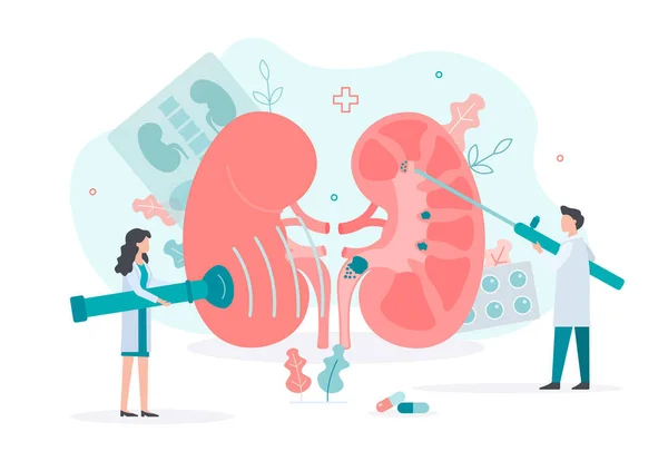 ᐈ Kidney stone cartoons stock vectors, Royalty Free kidney stones ...