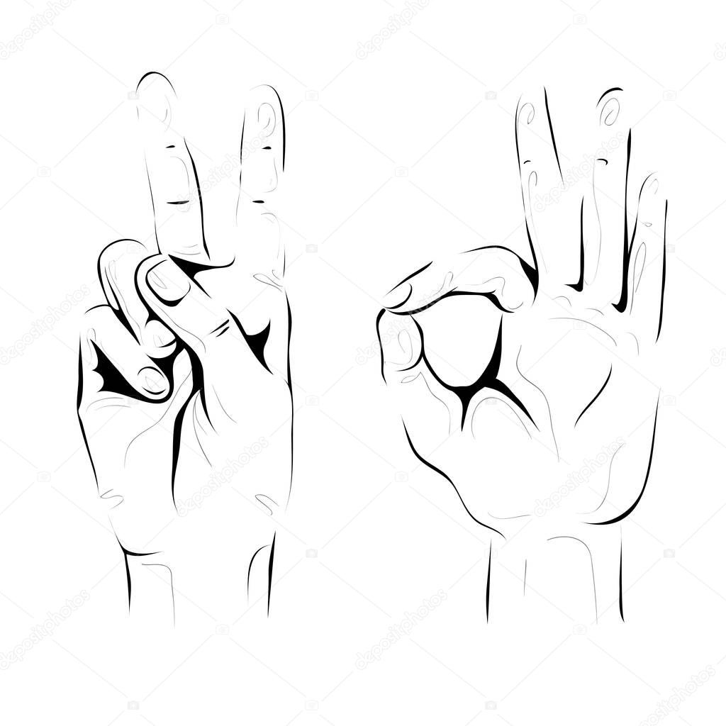Line graphic drawing hand pen Stock Vector Image by ©TashaDrik #129558762