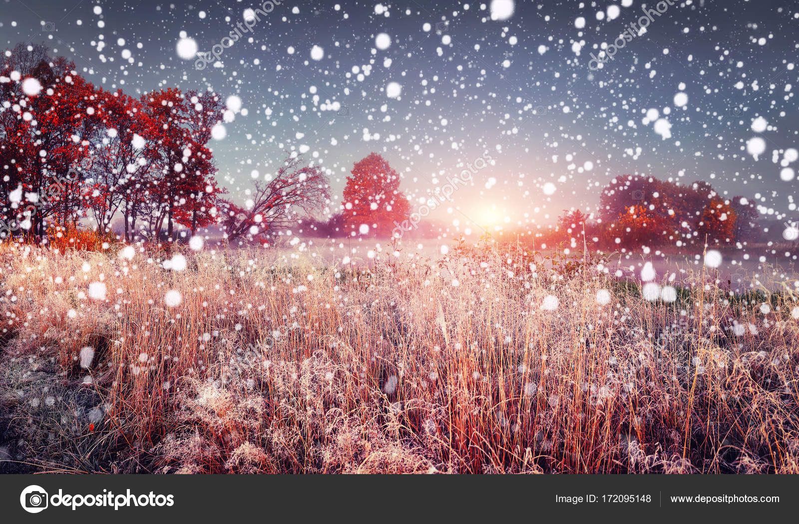 First winter snowfall in November frosty morning at sunrise. Snowflakes ...