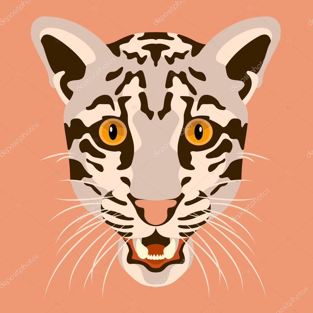 Clouded Leopard Face Drawing