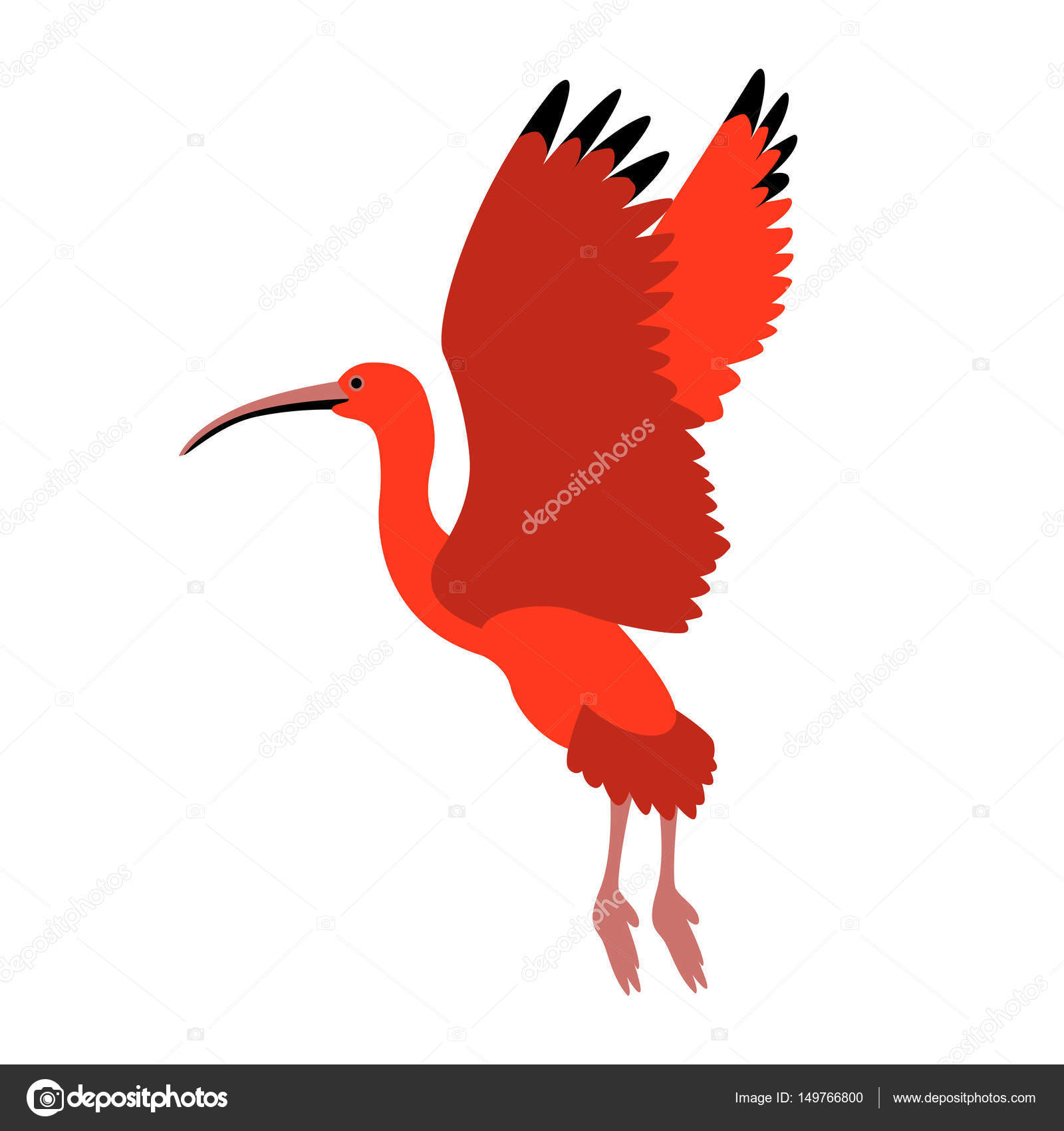 Scarlet ibis vector illustration style Flat Stock Vector by ©wectors ...
